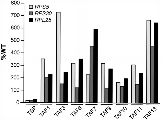 Systematic analysis of essential yeast TAFs in genome‐wide ...