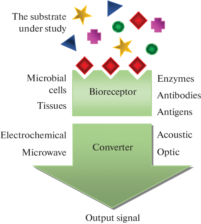 Microwave Sensor Systems for Detection of Biologically Significant ...
