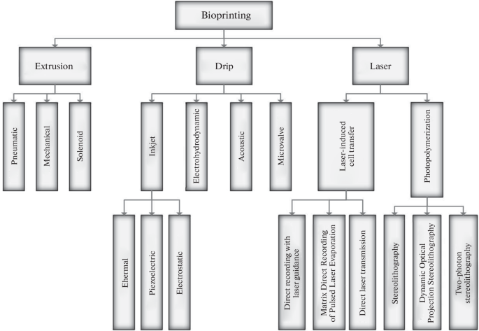 3D Bioprinting as a Method of Tissue Engineering: Applications and ...