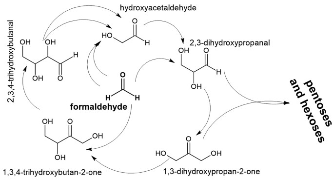 Chemistry of the Joint Origin and Evolution of Life, Death, and Aging ...