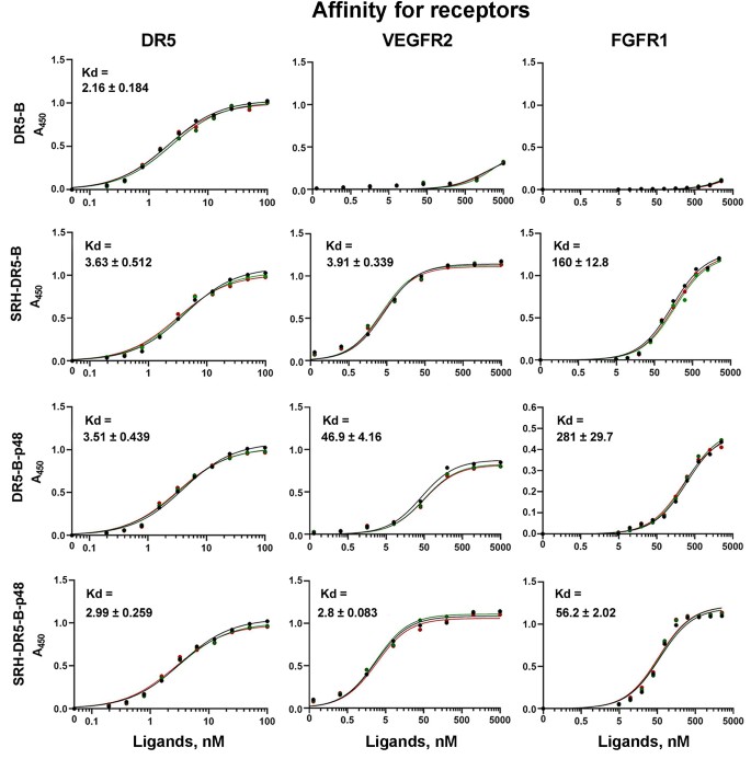 Novel Fusion Protein Based on DR5-Specific TRAIL Variant with Enhanced ...