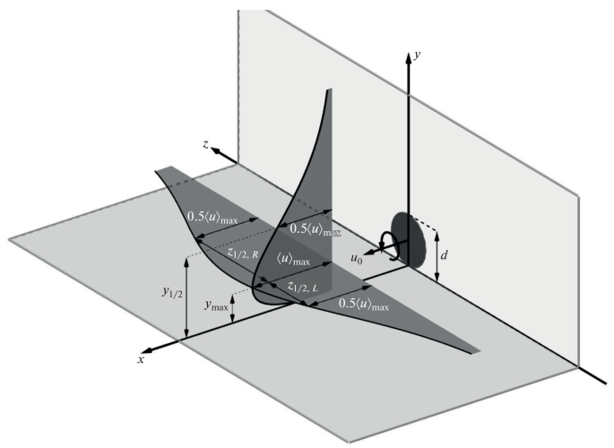 Turbulent Swirled Wall Jets | Fluid Dynamics