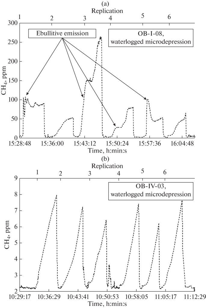 Methane Fluxes from a Rich Fen: Relations with the Hydrochemistry and ...