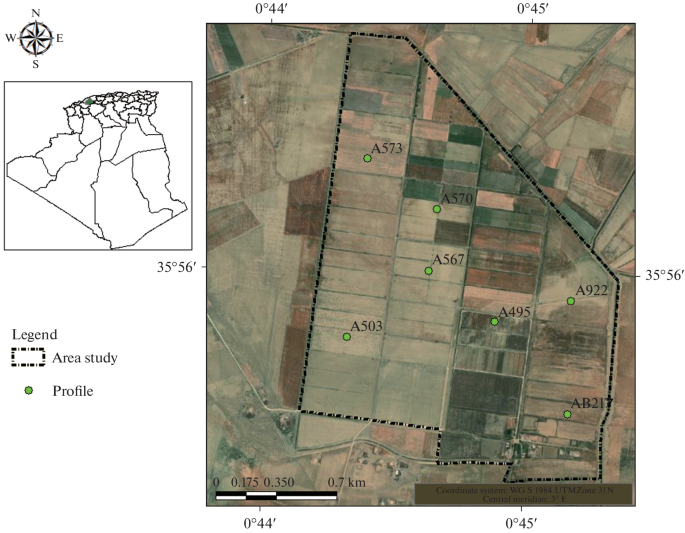 Studying the Influence of Soil Characteristics on Selenium Distribution ...