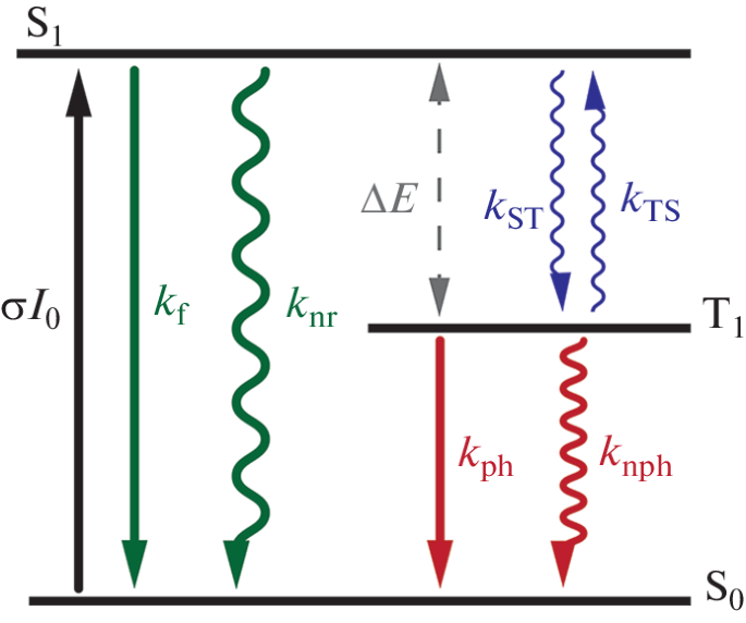 Theoretical Analysis of Delayed Fluorescence in the Framework of the ...