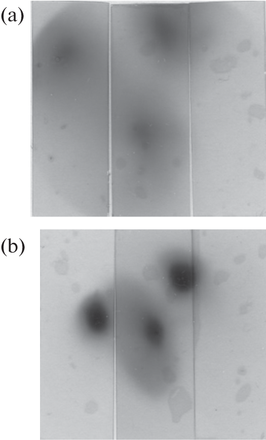 Electron Linac SPRUT to Study Radiation Hardness | Instruments and Experimental Techniques