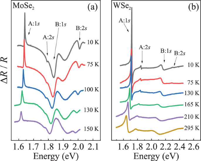 Excited States of Excitons in MoSe2 and WSe2 Monolayers | JETP Letters ...