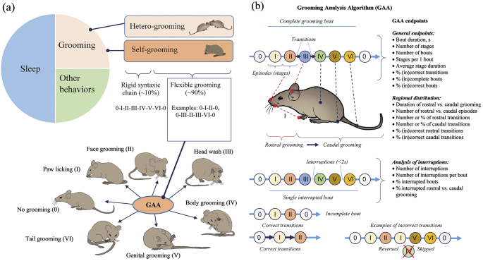 Analysis of Rodent Grooming and Its Microstructure in Modern ...