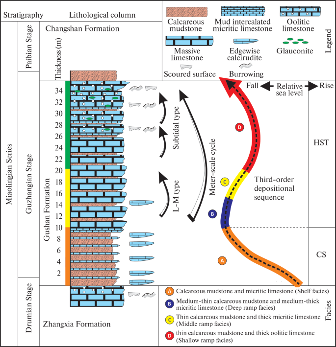 Glauconite Deposition in the Cambrian Gushan Formation, North China ...