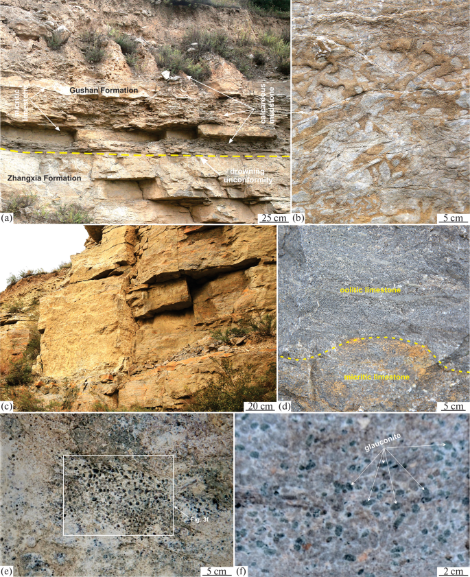 Glauconite Deposition in the Cambrian Gushan Formation, North China ...