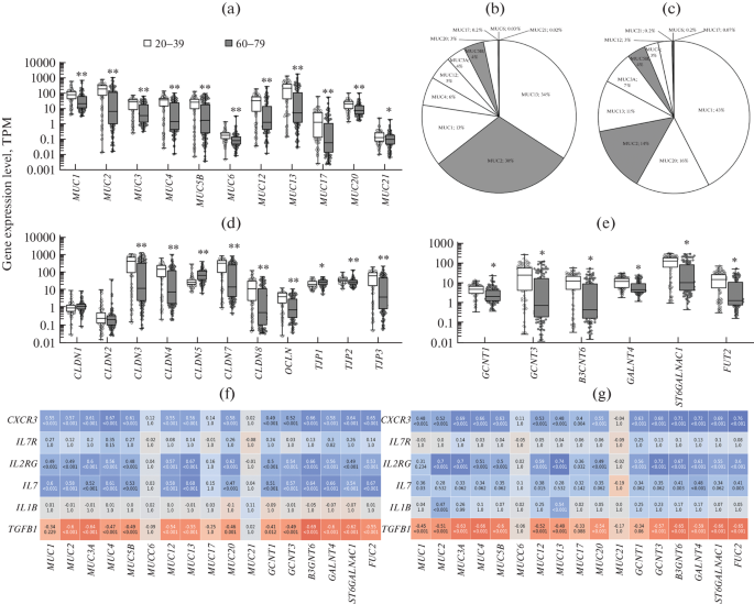 A Localized GTEx Database and Its Potential Applications in Biomedical ...
