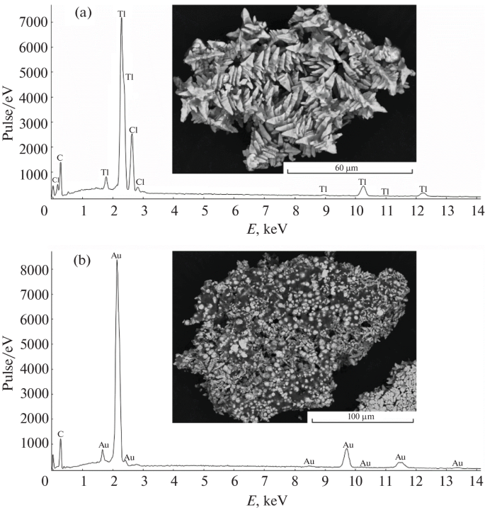 Crystal Polymorphism of the Pseudopolymeric Double Gold(III)–Thallium ...