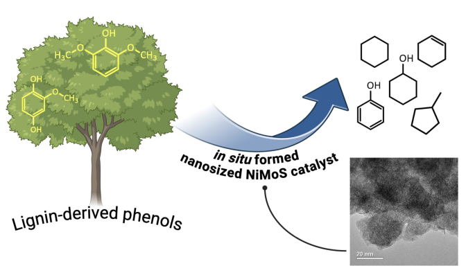 Hydrodeoxygenation of Lignin Depolymerization Products: Activity of In ...
