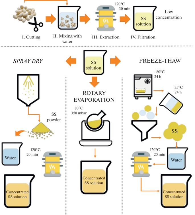 Silk Sericin Films from Concentrated Aqueous Solutions: Processing ...