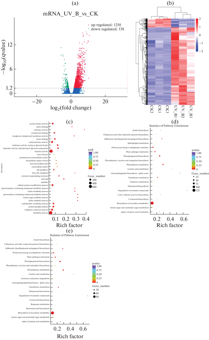 Combined Analysis of Transcriptome and Small RNA Sequencing Reveals the ...