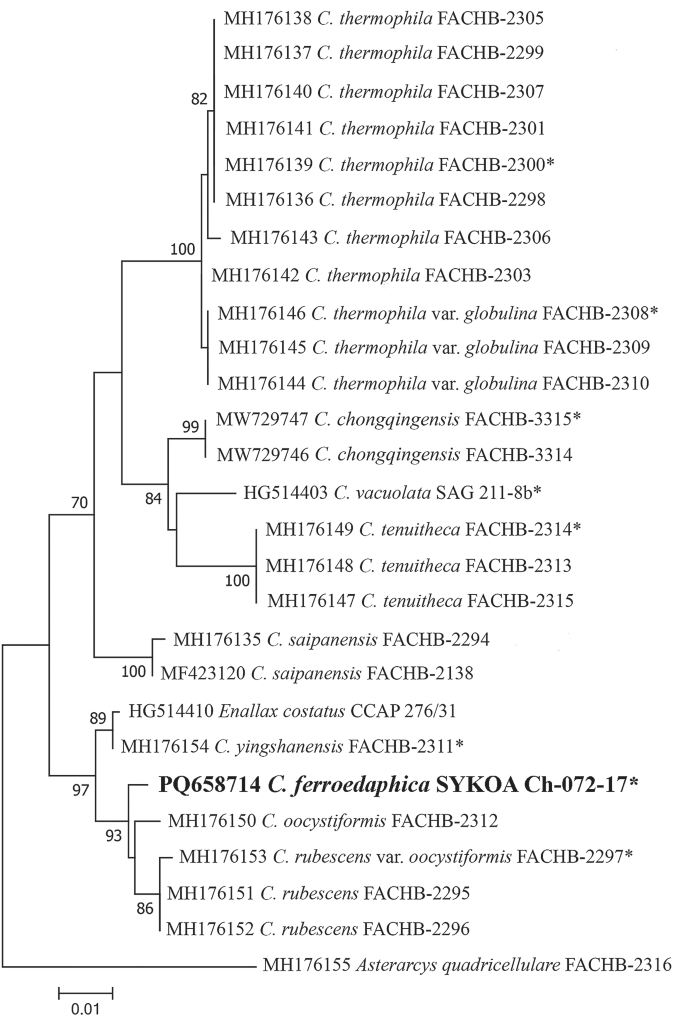 Carotenoids and Fatty Acids Composition of Coelastrella ferroedaphica ...