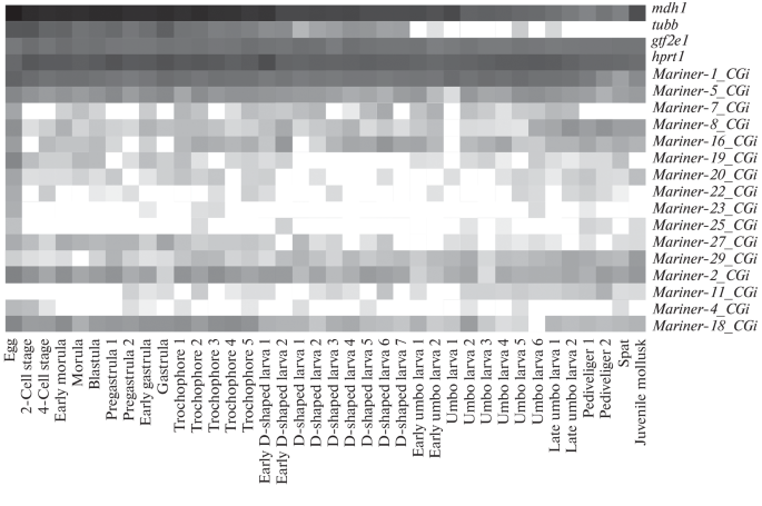Evolutionary Dynamics and Transcriptional Activity of the Tc1/mariner ...