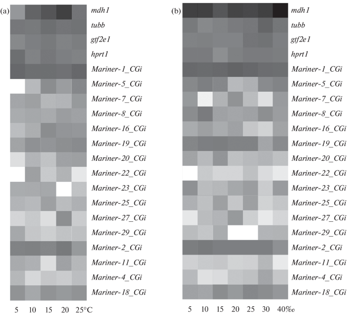 Evolutionary Dynamics and Transcriptional Activity of the Tc1/mariner ...