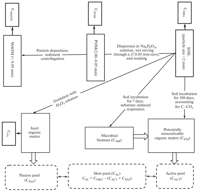 Soil Organic Carbon Pools: Isolation Methods, Sizes, and Ratios | Doklady Earth Sciences