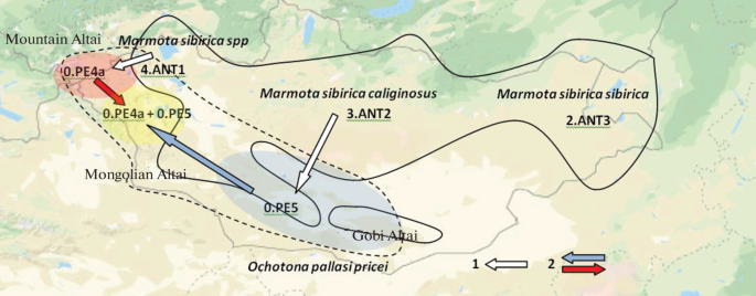 Conflict of Molecular and Ecological Phylogenies of the Plague Microbe ...