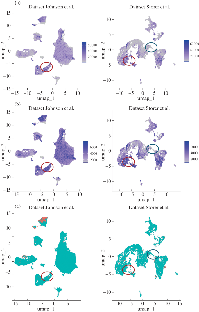 Characterization of the Stromal Cells in Blastema during Digit Tip ...