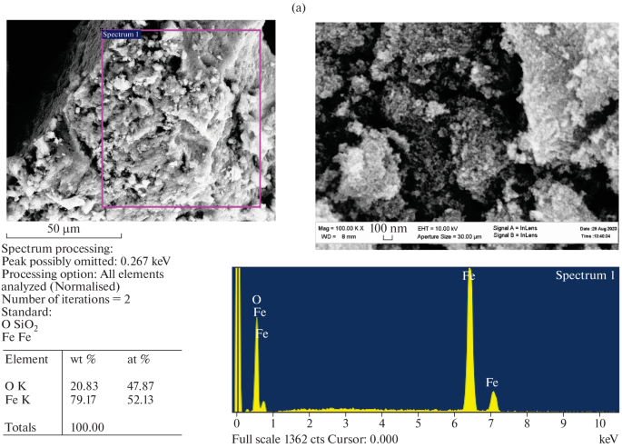 Study of SERS-Active Magnetite Nanoparticles with a Silver Shell ...