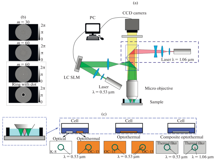 Motion of Microspheres in Vortex Optothermal Traps | Bulletin of the ...