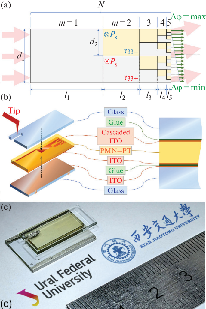 Cascaded Optical Phased Array for Beam Steering Created by Domain ...
