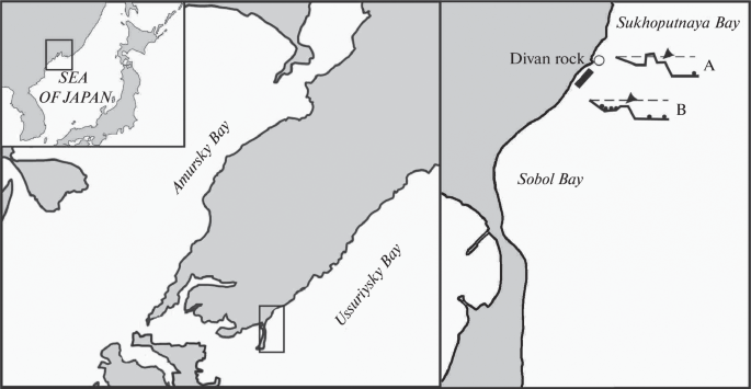 Algal Community Succession in a Typhoon-Damaged Phytocenosis of ...