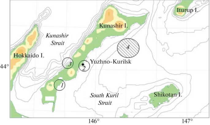 New Data on the Biology of Verasper moseri Jordan & Gilbert, 1898 ...