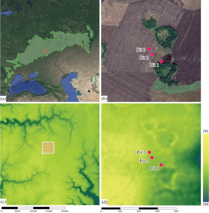 Seasonal and Multi-Year Dynamics of Soil Moisture in Gleyic Chernozems ...
