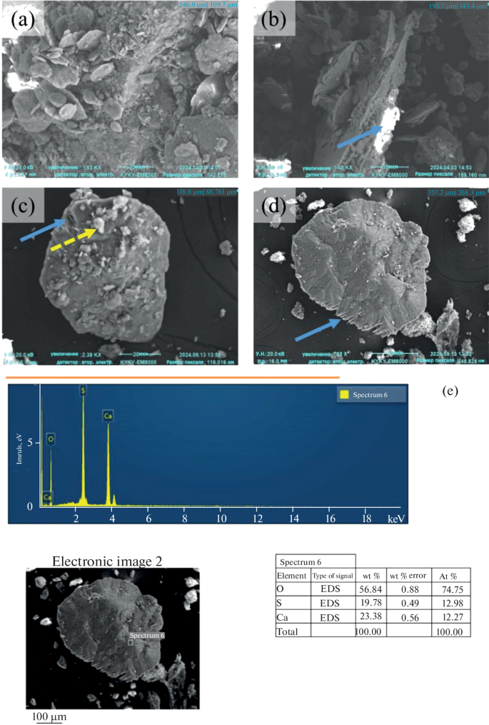 Comparative Characteristics of Gypsum Morphotypes in Irrigated and Non ...