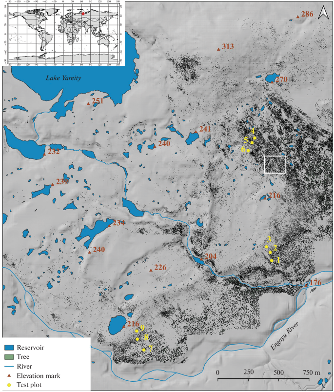Carbon Storage by Siberian Larch in the Upper Treeline Ecotone in the ...