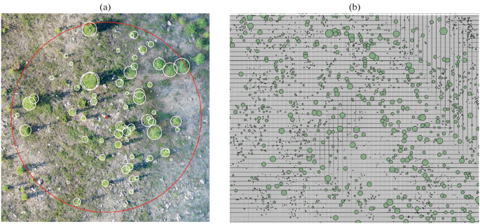 Carbon Storage by Siberian Larch in the Upper Treeline Ecotone in the ...