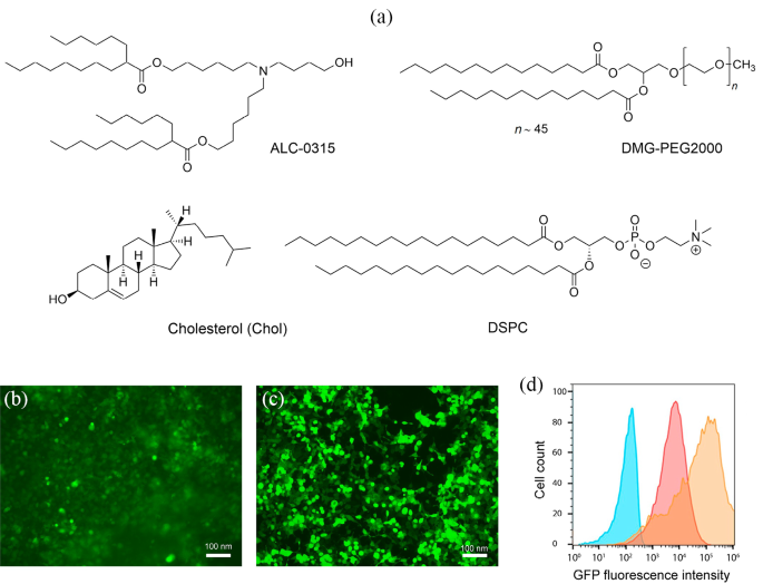 An Ionizable Cationic Lipid for Intracellular RNA Delivery | Russian ...