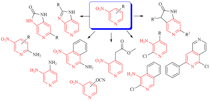 ipso-Substitution Reaction of Nitro Group with Hydrogen in 5 ...