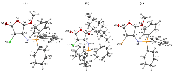 2(5H)-Furanone Azides in the Synthesis of Iminophosphoranes and Amines ...