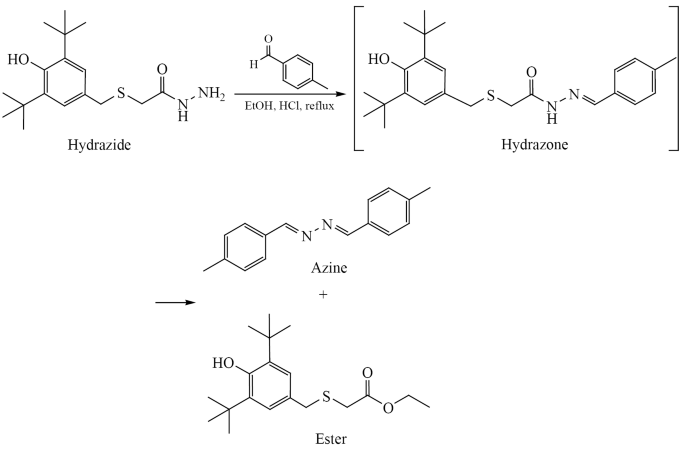 Unravelling the Unexpected: Mechanistic Insights and DFT Studies on the ...
