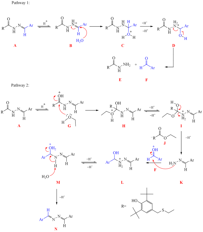 Unravelling the Unexpected: Mechanistic Insights and DFT Studies on the ...