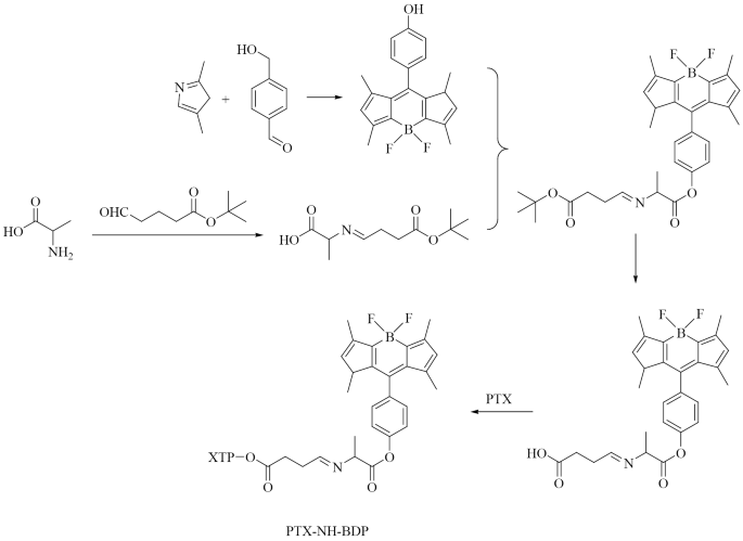 pH-Sensitive Paclitaxel Prodrug Incorporating Zanthoxylum bungeanum ...