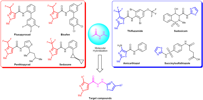 Design, Synthesis, and Antifungal Evaluation of Thiazole-Containing ...
