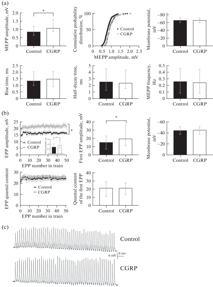 The Role of Neuropeptide CGRP in the Regulation of Neurotransmitter ...