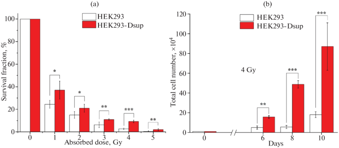 Tardigrade Dsup Protein Protects Human Cells during Proton Radiotherapy ...