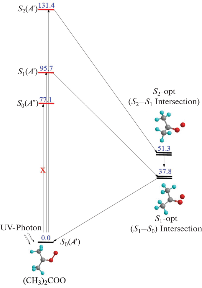 Isomerization and Dissociation of (CH3)2COO Criegee Intermediate: Ab ...