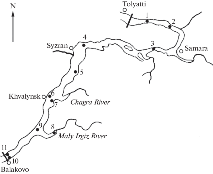 Trophic State of Benthal in a Large Channel Reservoir in Relation to ...