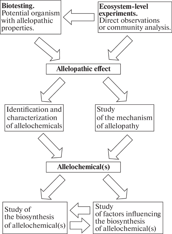 Allelopathic Properties of Cyanobacteria (Review) | Inland Water Biology