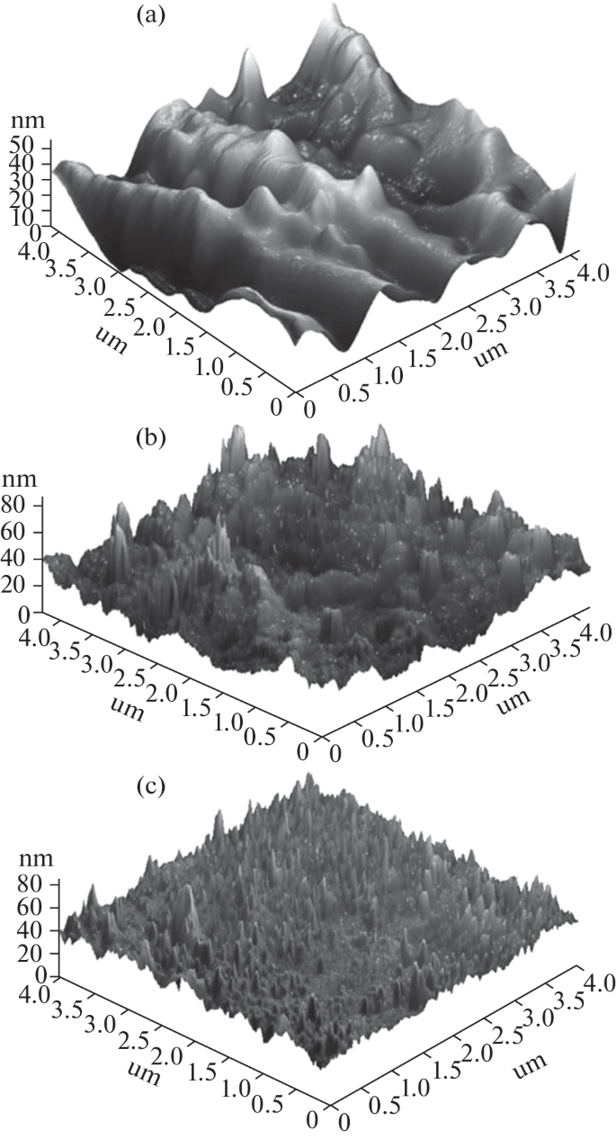 The Influence of the Surface Morphology of Plasma-Modified Polymers on ...