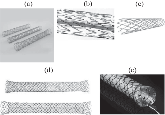 Biodegradable Biliary Stents. Materials and Methods for Evaluating ...