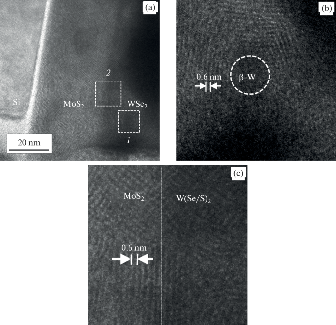 Multilayer Coatings Based on van der Waals MoS2/WS2/WSe2 ...