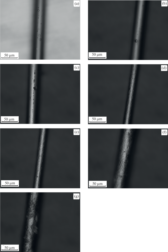 Carbon Fiber from Isotropic Petroleum Pitch Doped with Carbon Nanotubes ...